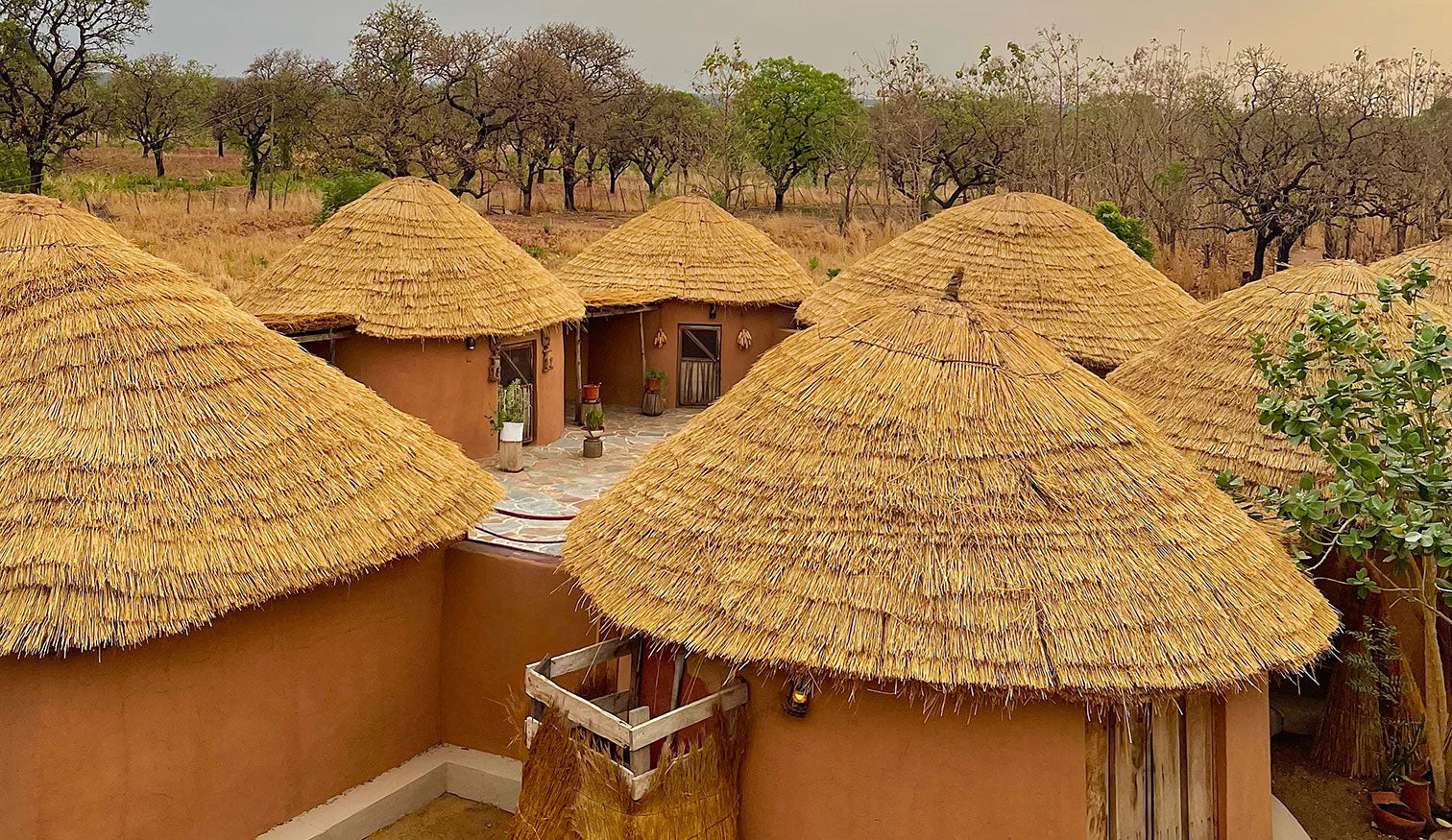 Shop Shea Butter Products & More | Hamamat African Village